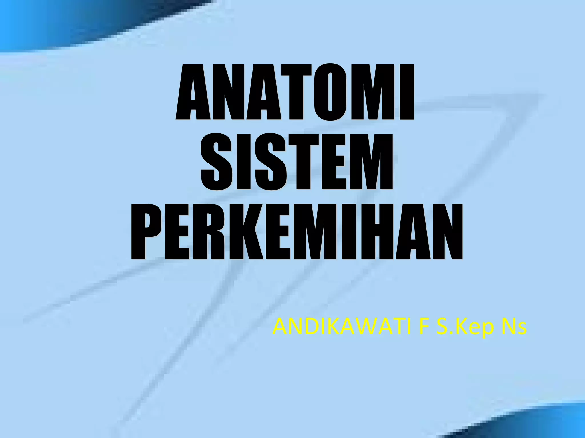 Anatomi sistem perkemihan | PPT