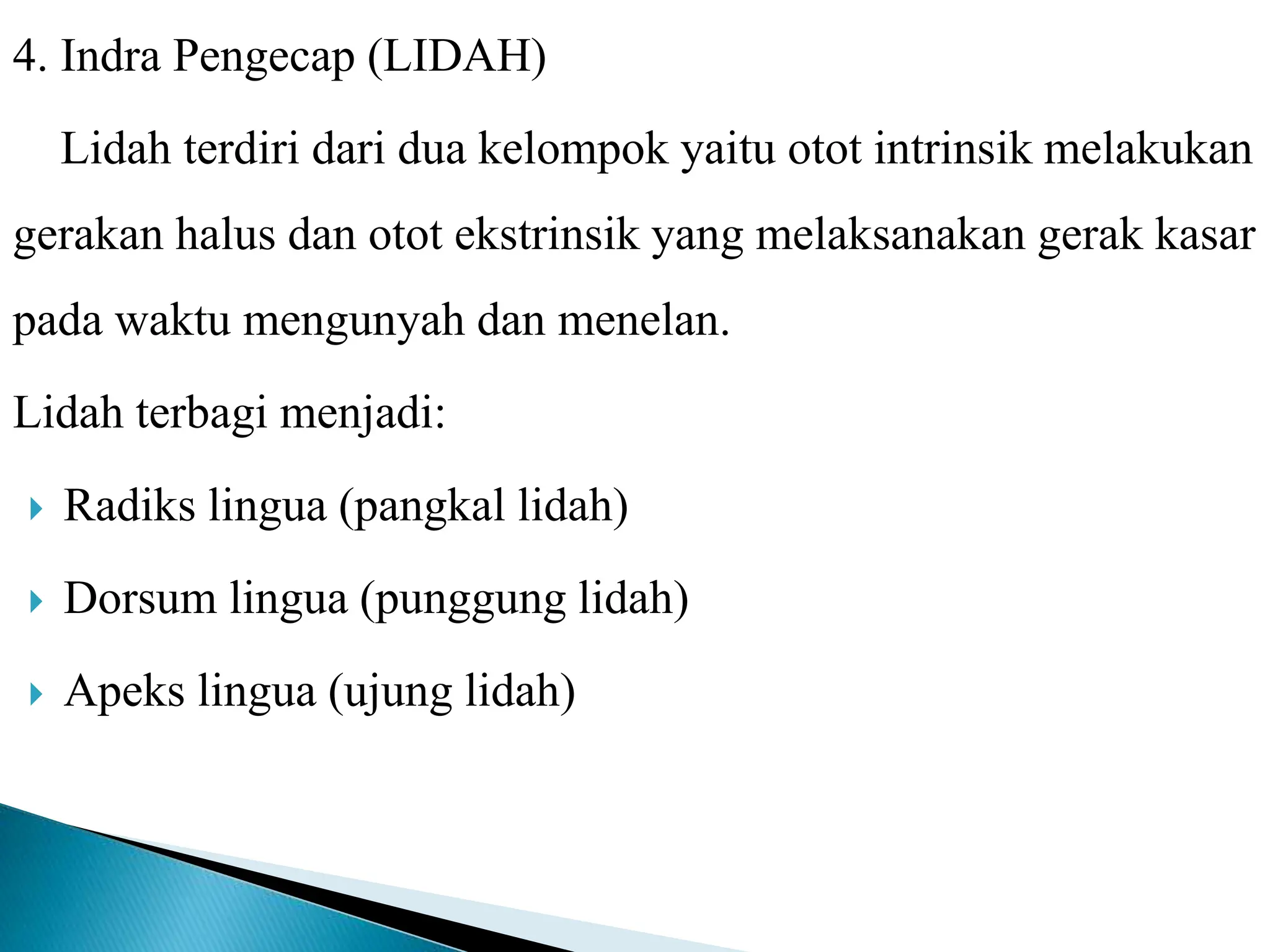 ANATOMI_SISTEM_PERSEPSI_DAN_SENSORI.pptx