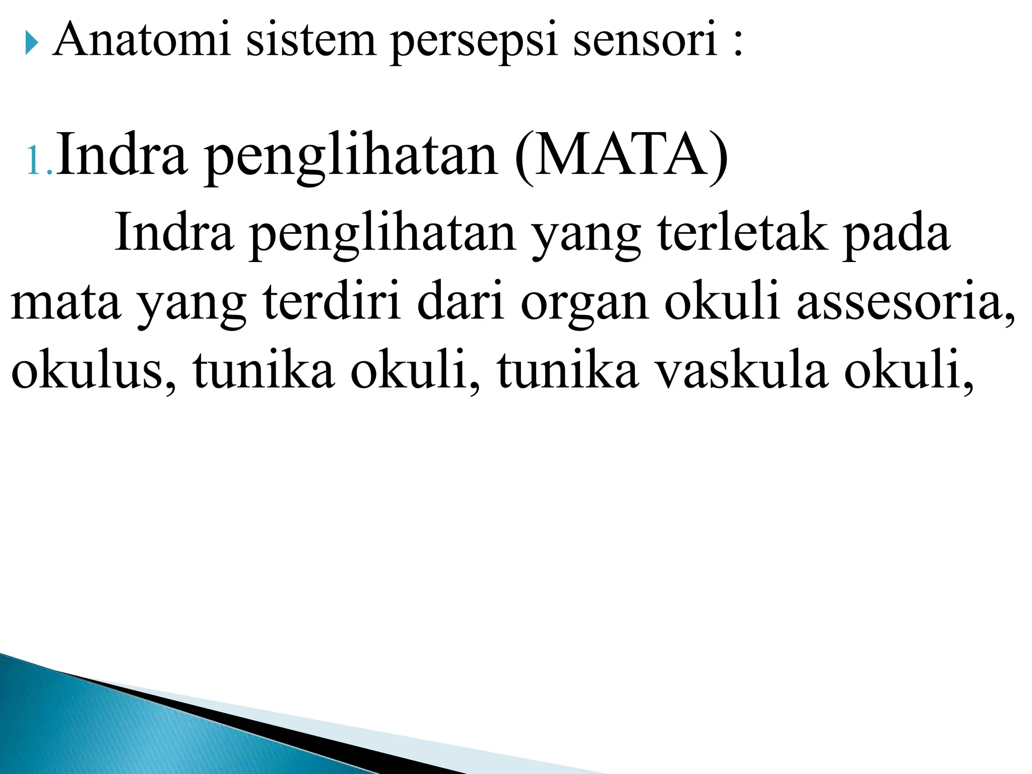 ANATOMI_SISTEM_PERSEPSI_DAN_SENSORI.pptx