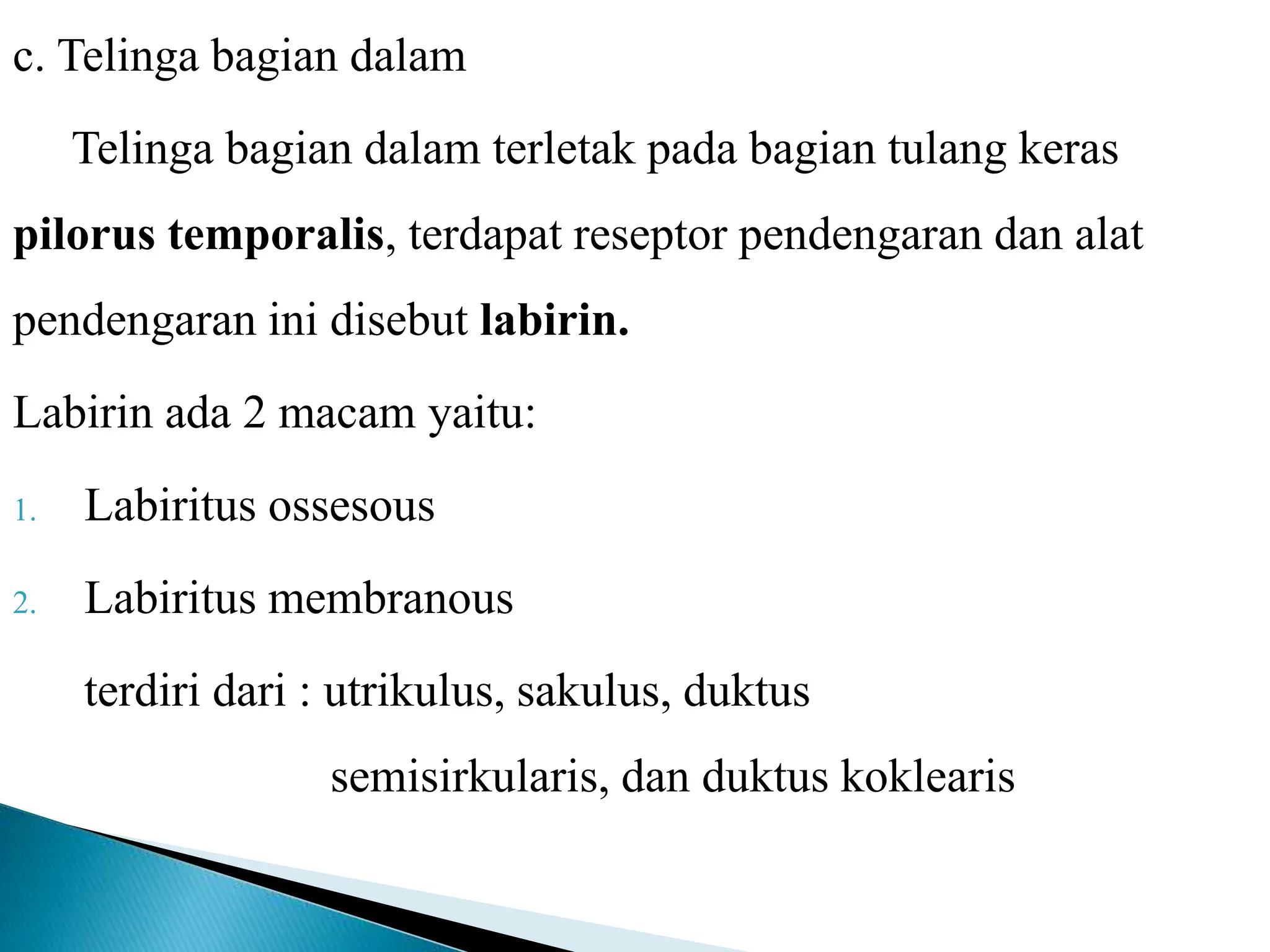 ANATOMI_SISTEM_PERSEPSI_DAN_SENSORI.pptx