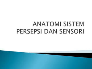 ANATOMI_SISTEM_PERSEPSI_DAN_SENSORI.pptx