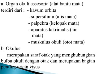 ANATOMI_SISTEM_PERSEPSI_DAN_SENSORI.pptx