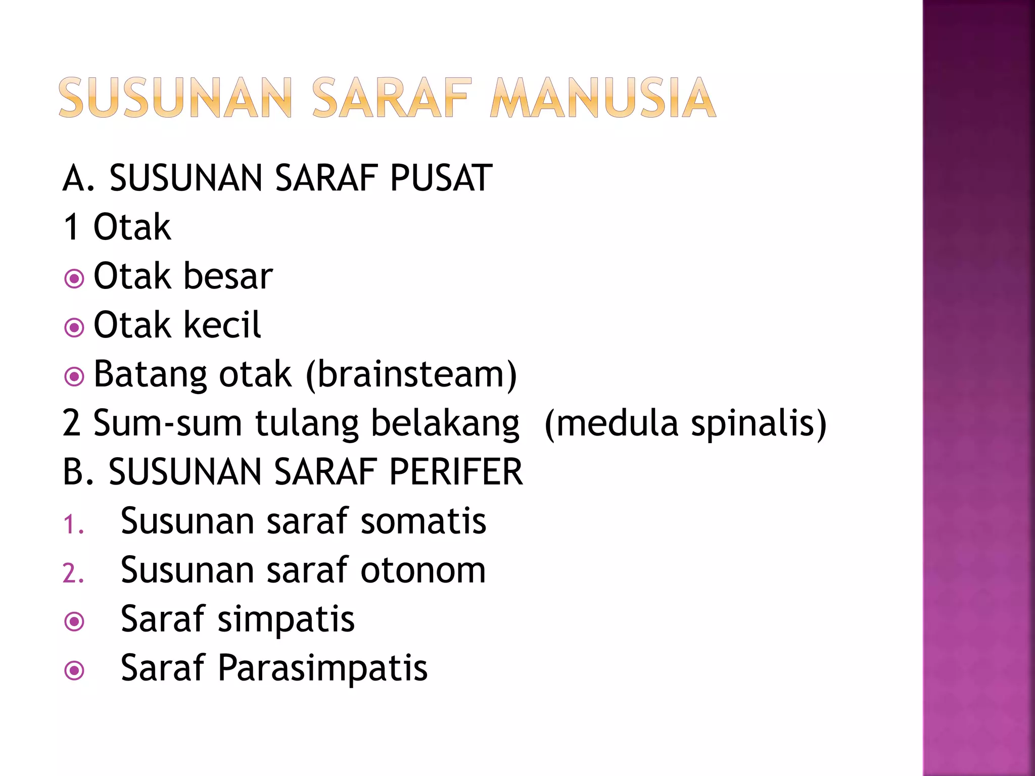 Anatomi sistem persyarafan | PPTX
