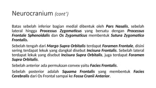 Anatomi Sistem Rangka - Cranium.pptx materi kuliah | PPTX