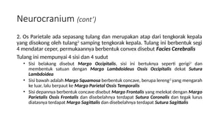 Anatomi Sistem Rangka - Cranium.pptx materi kuliah | PPTX