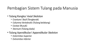 Anatomi Sistem Rangka - Cranium.pptx materi kuliah | PPTX