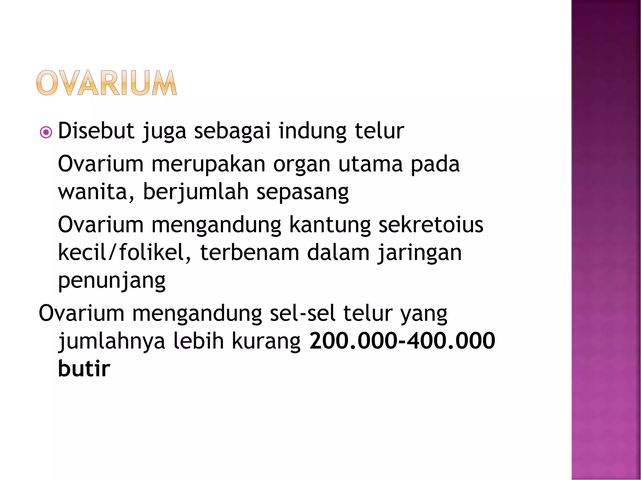 Anatomi sistem reproduksi | PDF