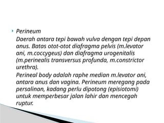 Anatomi sistem Reproduksi laki- laki dan perempuan | PPTX