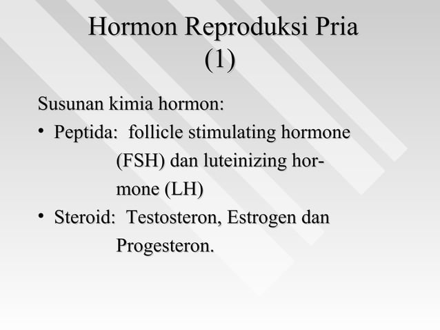 Anatomi sistem reproduksi pria