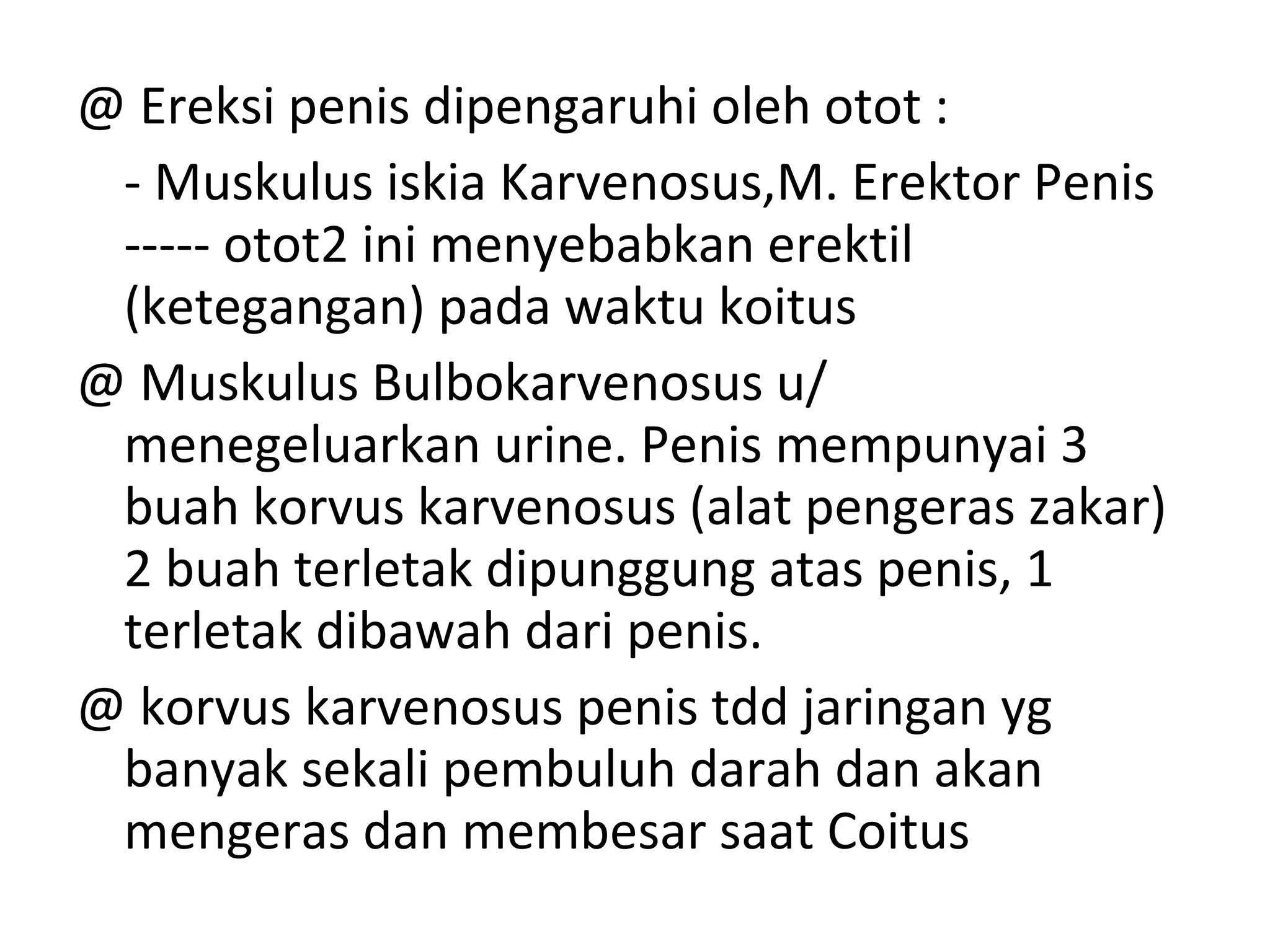 Anatomi Sistem Reproduksi Pria | PPT