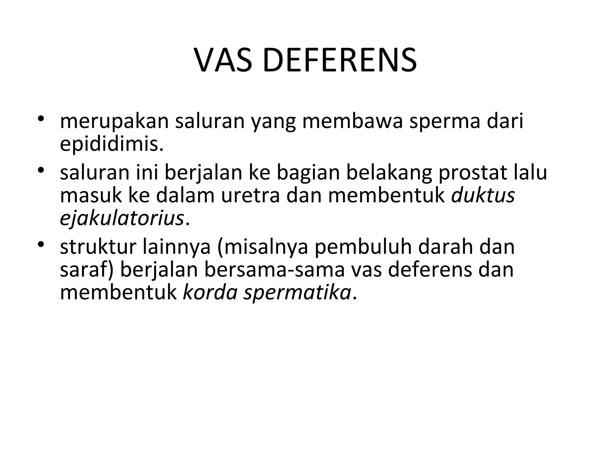 Anatomi Sistem Reproduksi Pria | PPT