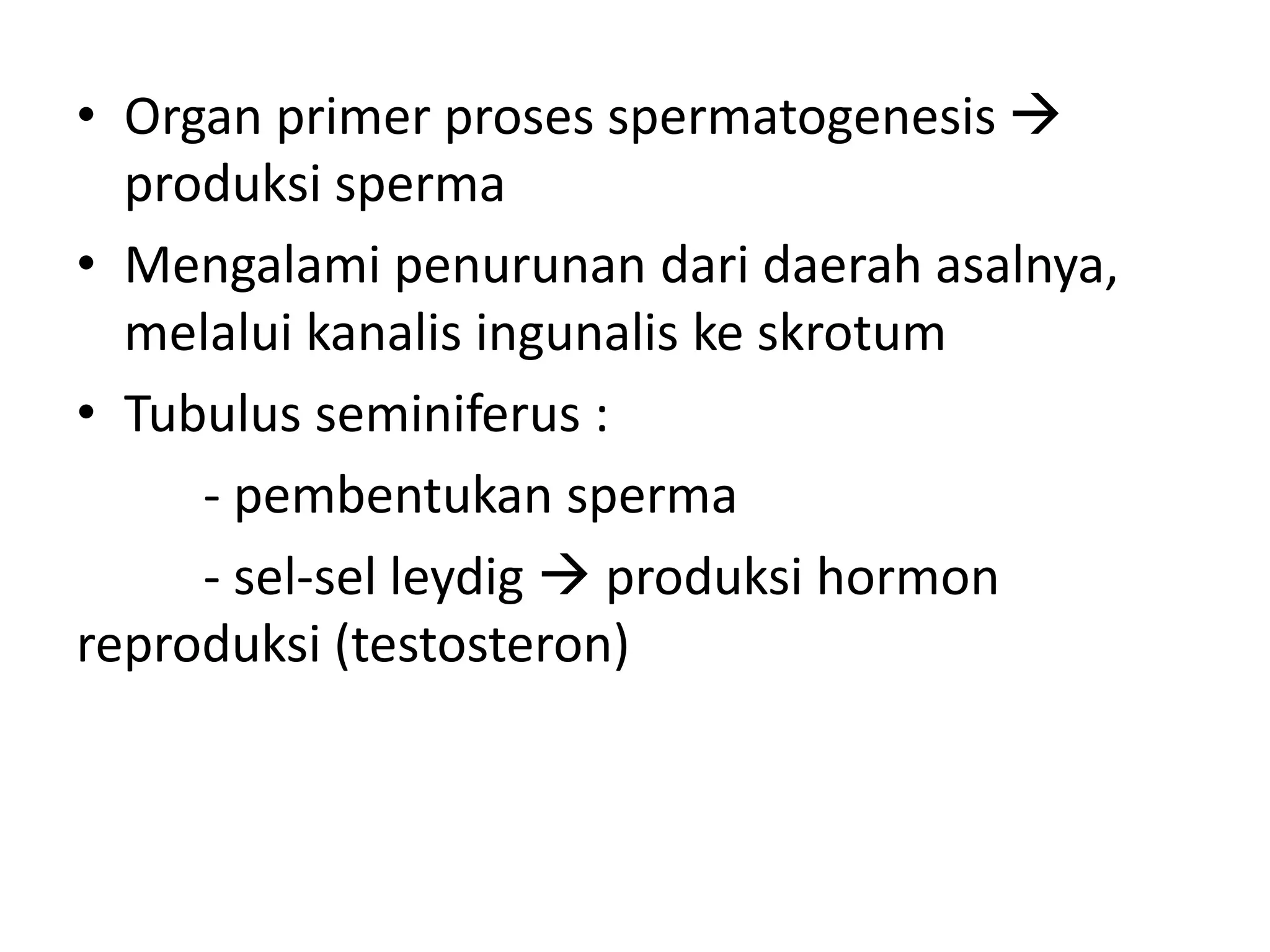 Anatomi Sistem Reproduksi Pria.pptx