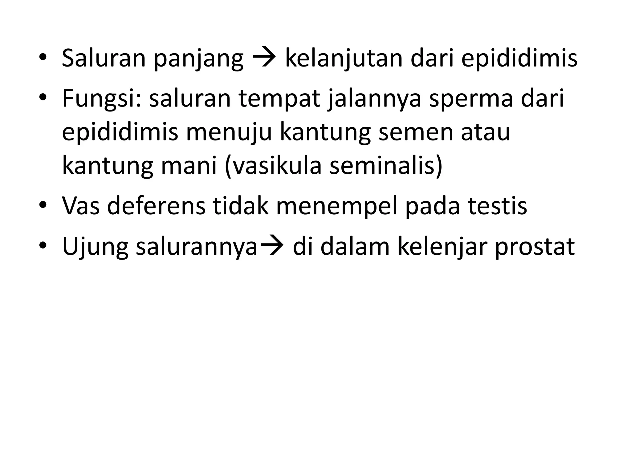Anatomi Sistem Reproduksi Pria.pptx