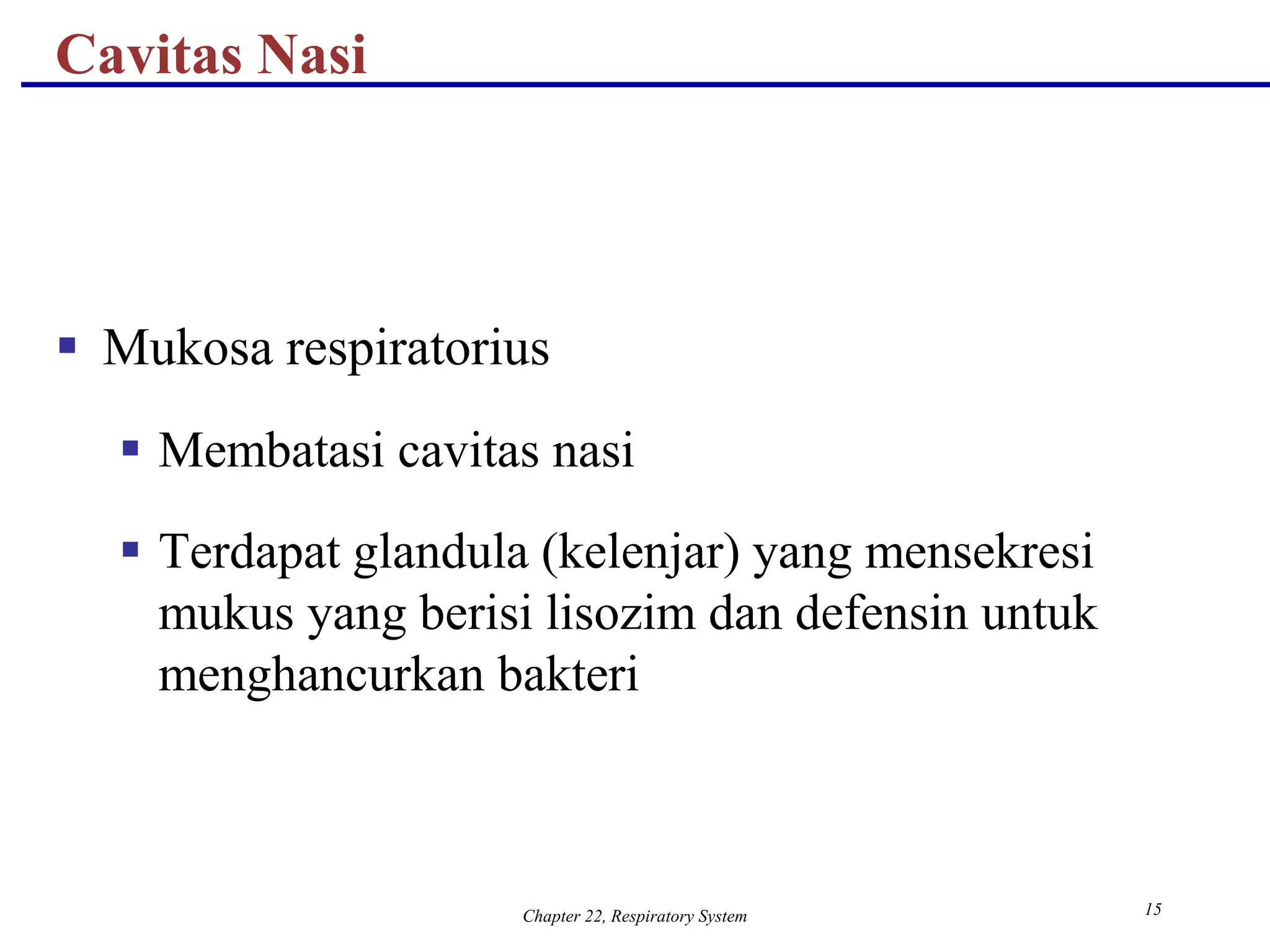 Anatomi sistem respirasi | PPTX