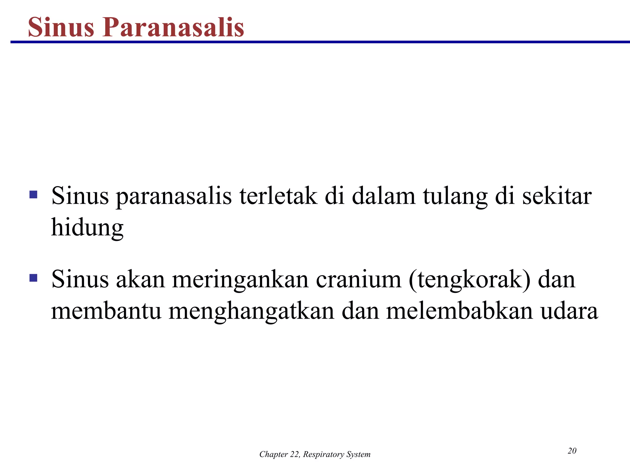 Anatomi sistem respirasi | PPTX