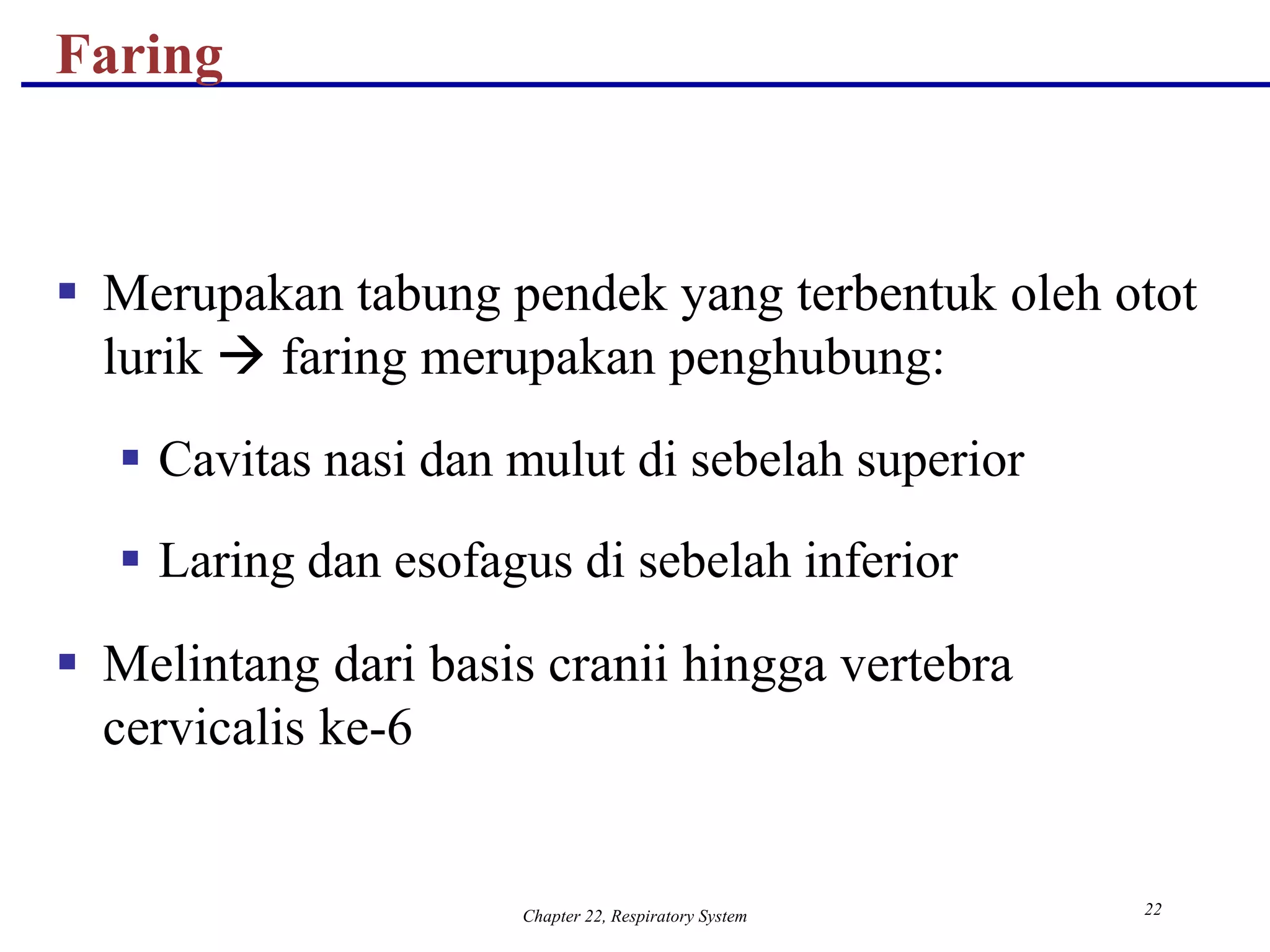 Anatomi sistem respirasi | PPTX