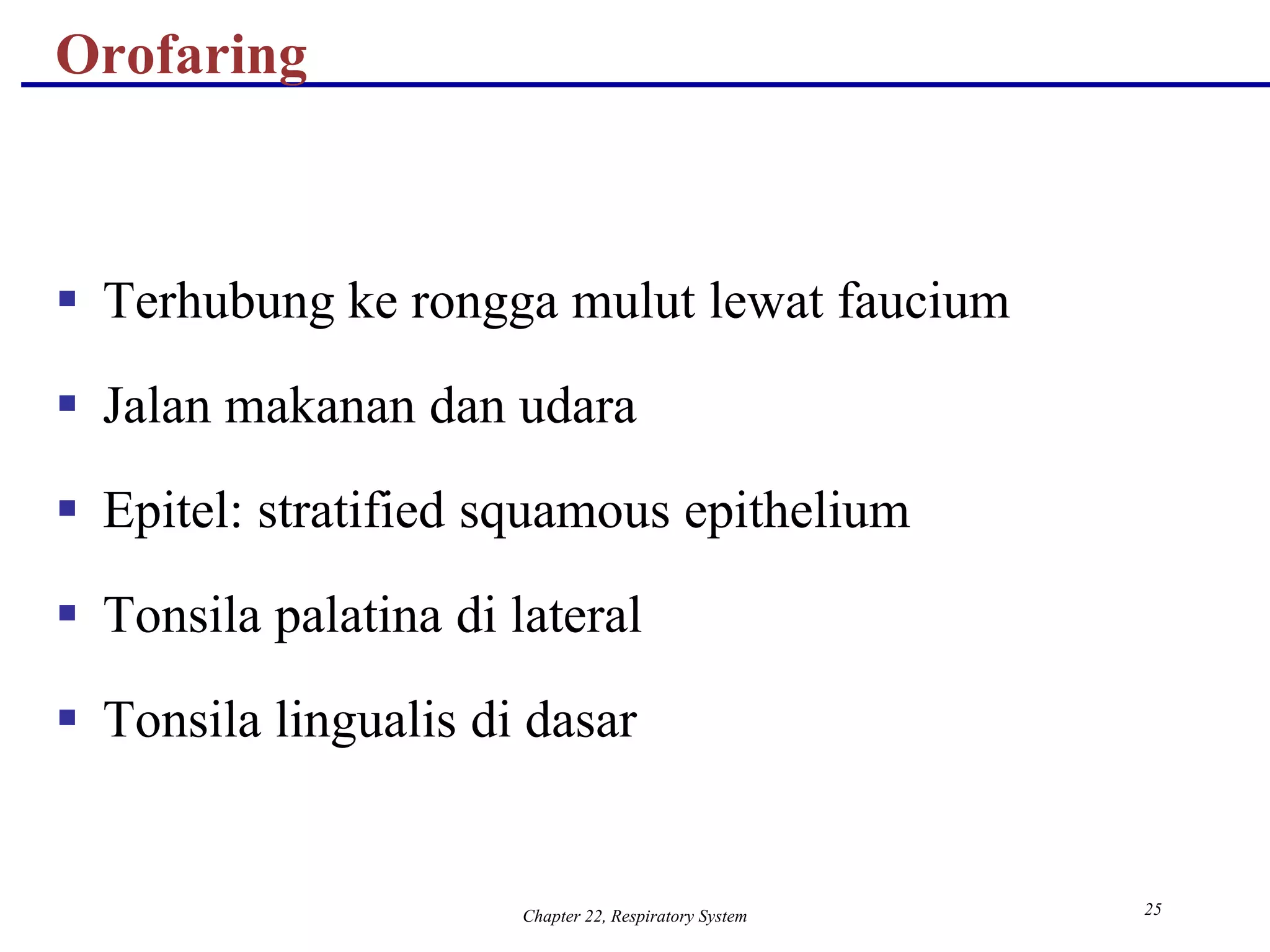 Anatomi sistem respirasi | PPTX