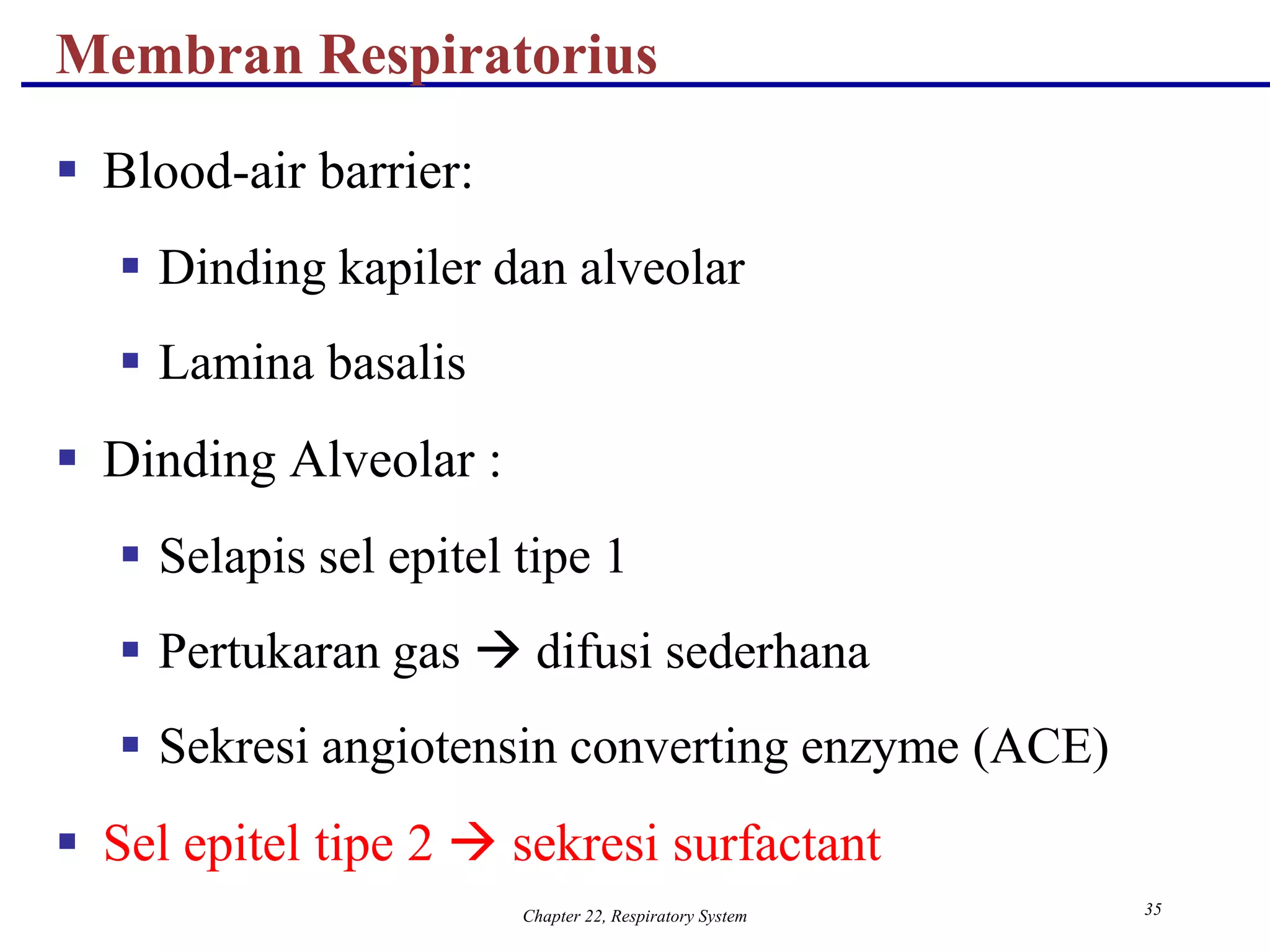 Anatomi sistem respirasi | PPTX