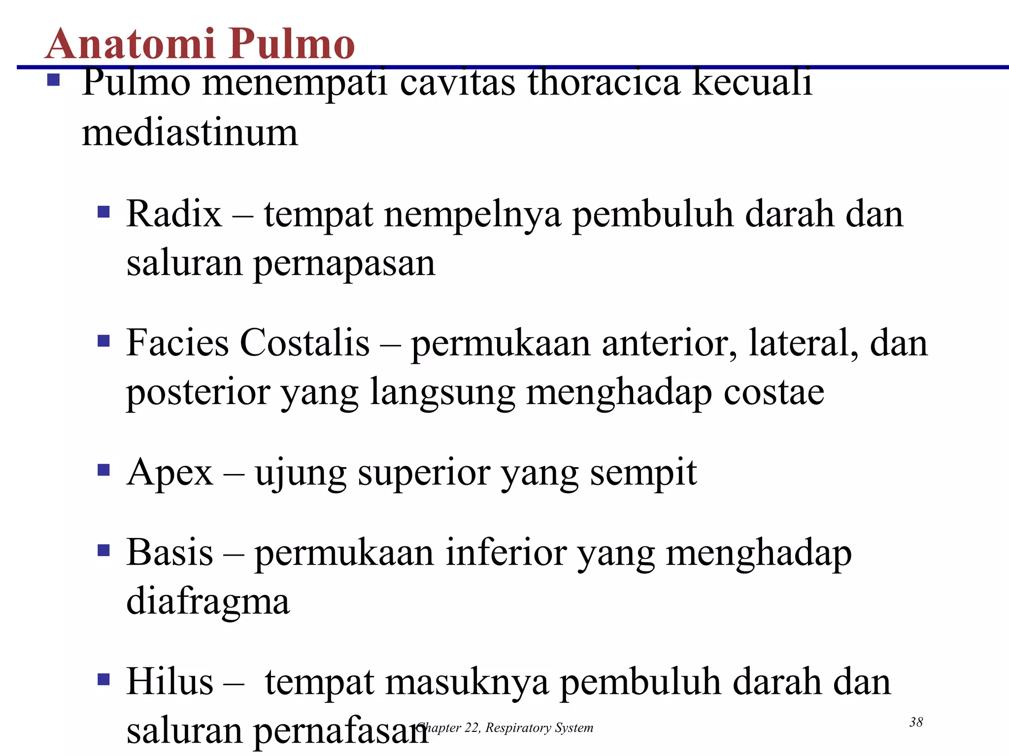 Anatomi sistem respirasi | PPTX