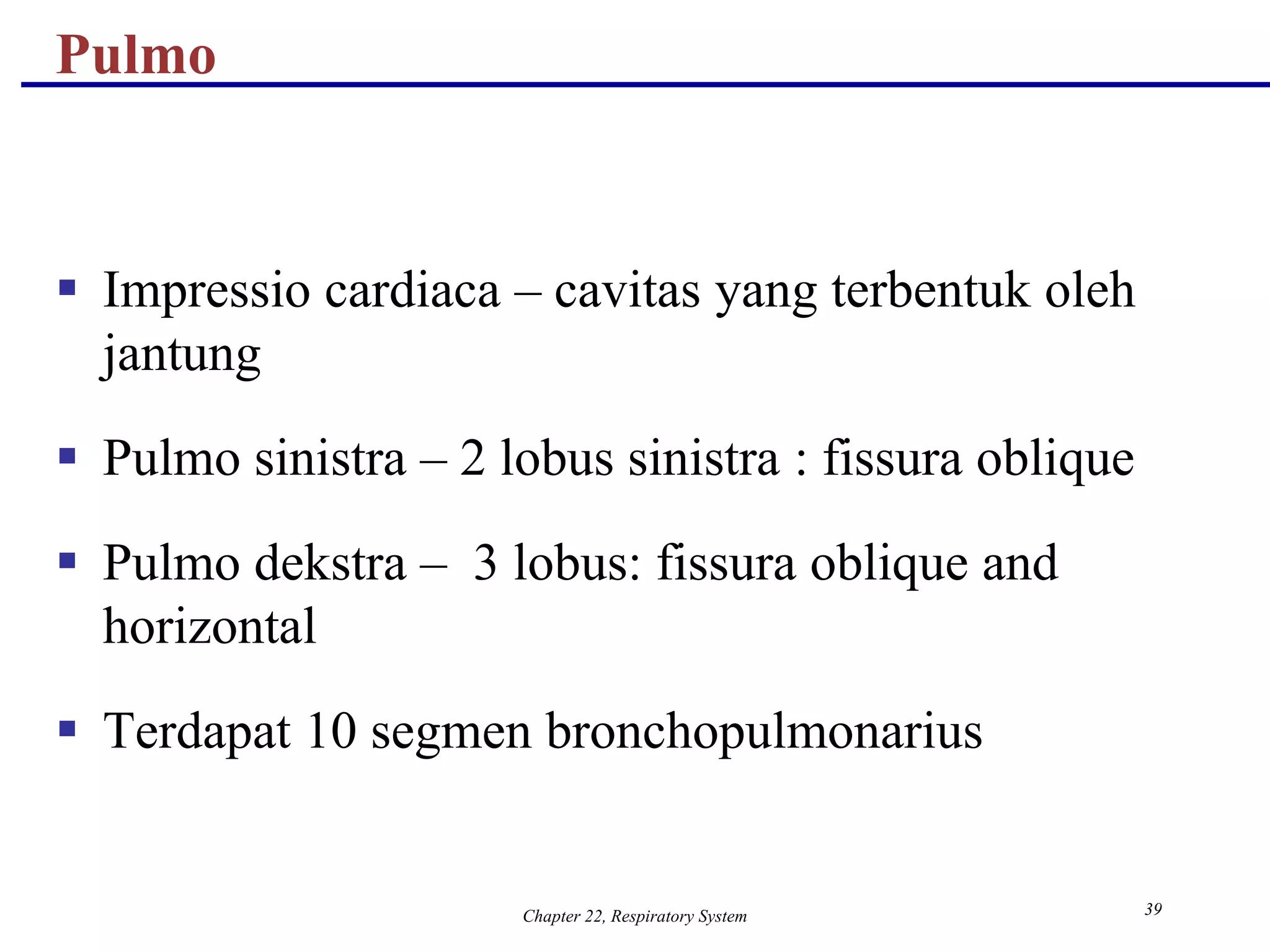 Anatomi sistem respirasi | PPTX