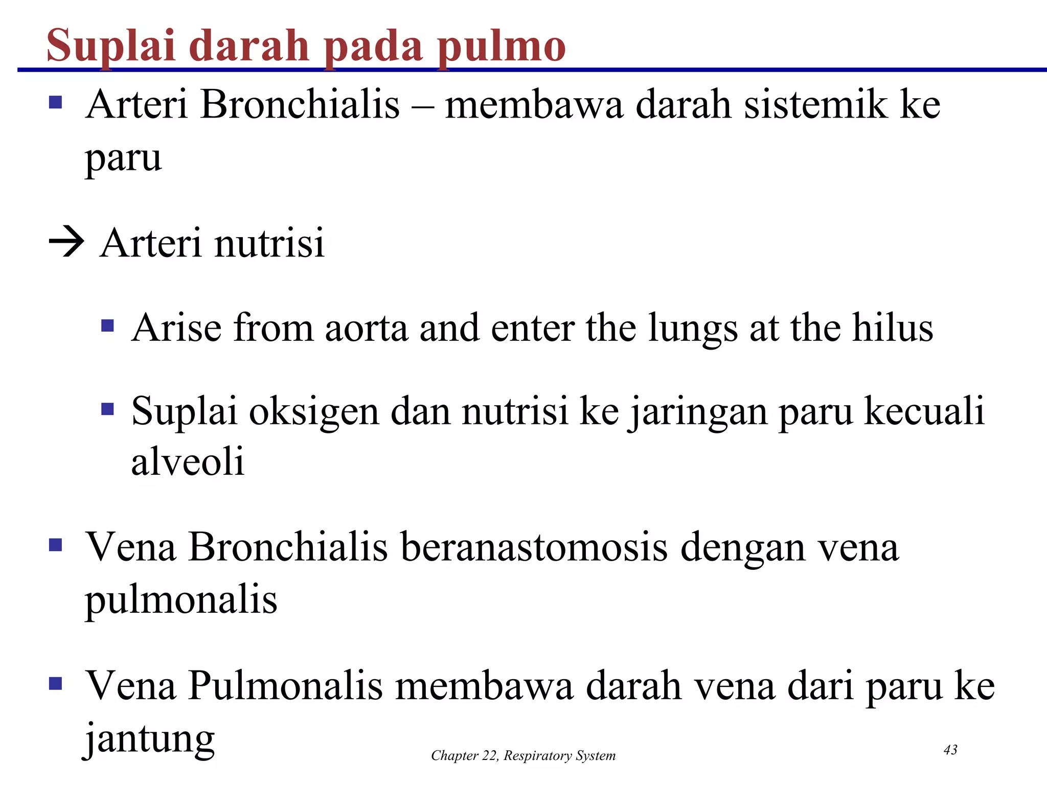 Anatomi sistem respirasi | PPTX