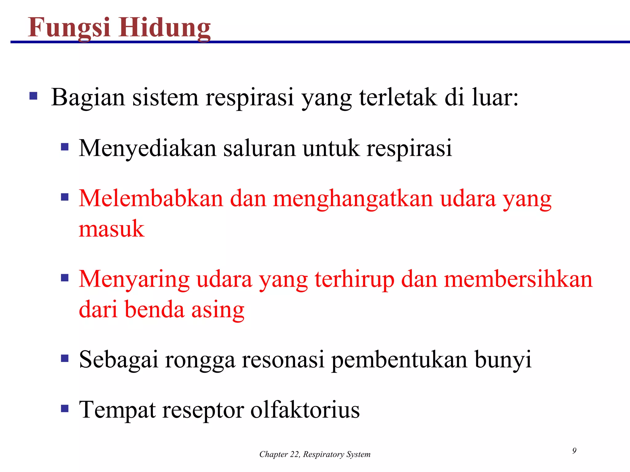 Anatomi sistem respirasi | PPTX