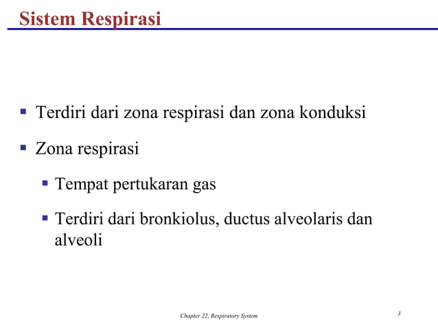 Anatomi sistem respirasi | PPTX