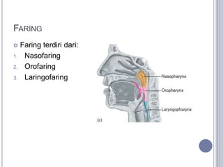 Anatomi sistem respirasi | PPT
