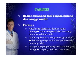 Anatomi sistem respirasi | PDF