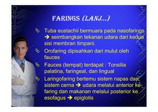 Anatomi sistem respirasi | PDF