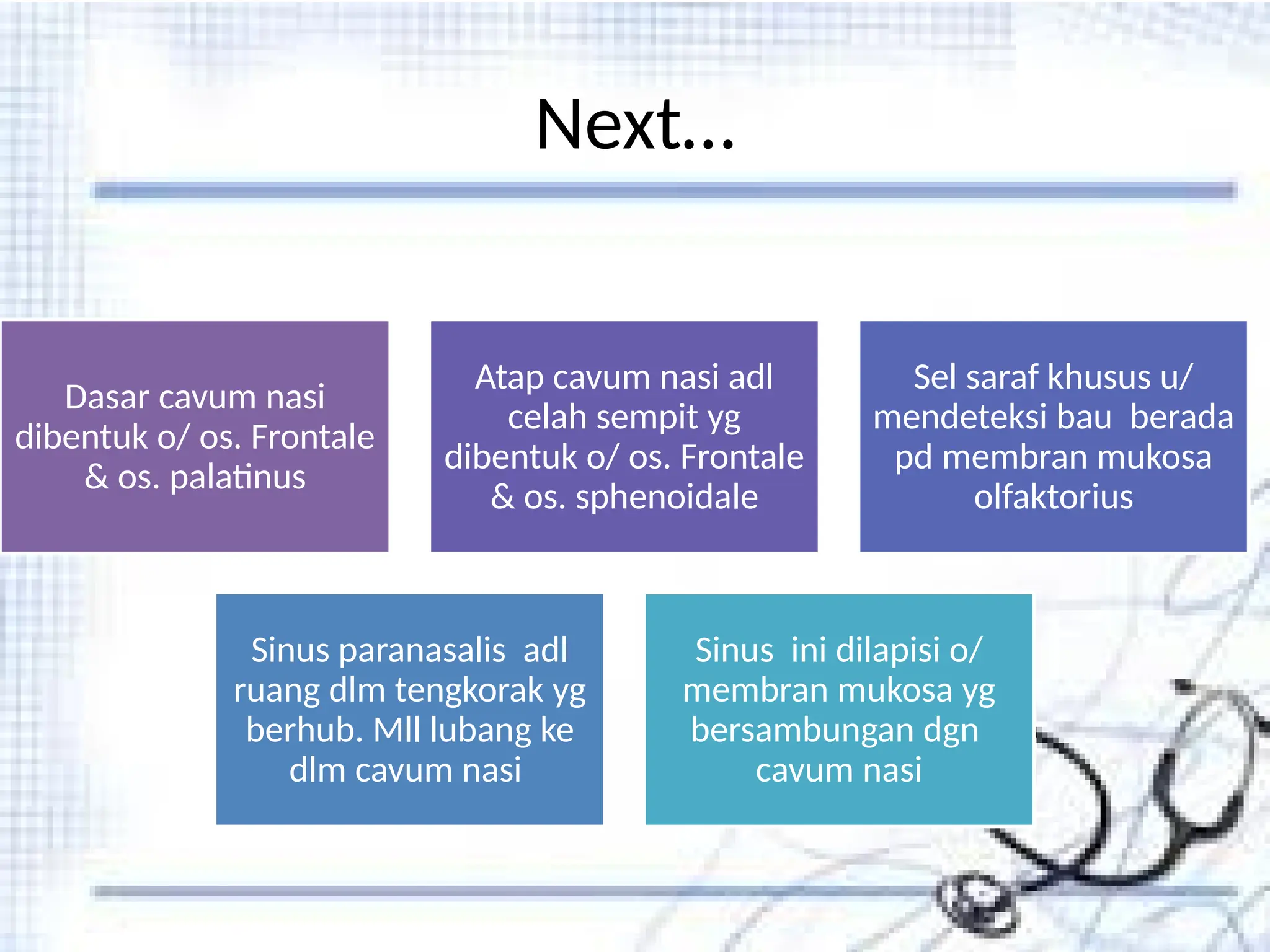 Anatomi pernapasan meliputi sistem pernapasan atas (hidung, sinus, dan ...