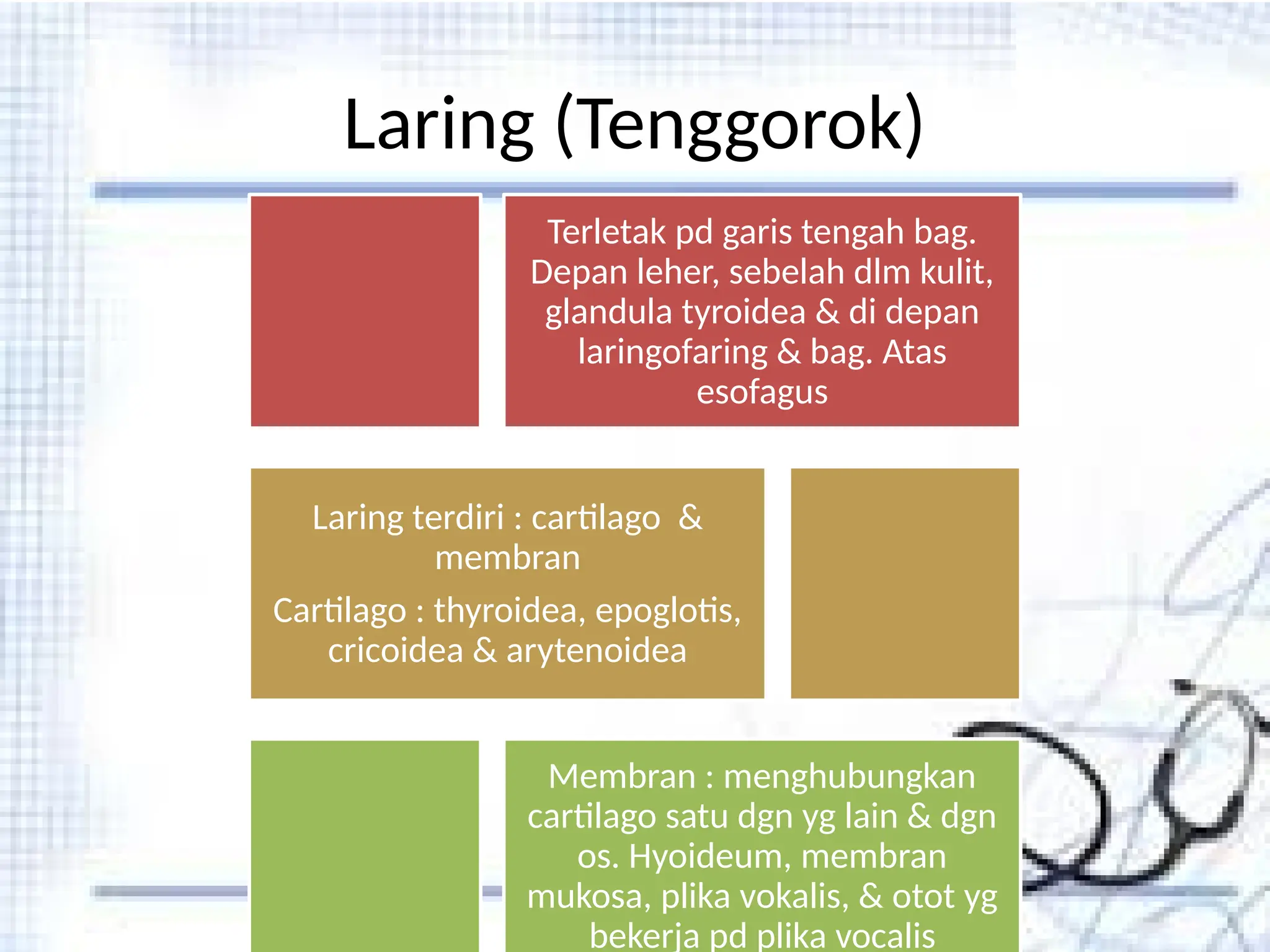 Anatomi pernapasan meliputi sistem pernapasan atas (hidung, sinus, dan ...