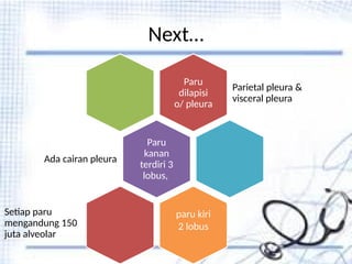 Anatomi pernapasan meliputi sistem pernapasan atas (hidung, sinus, dan ...