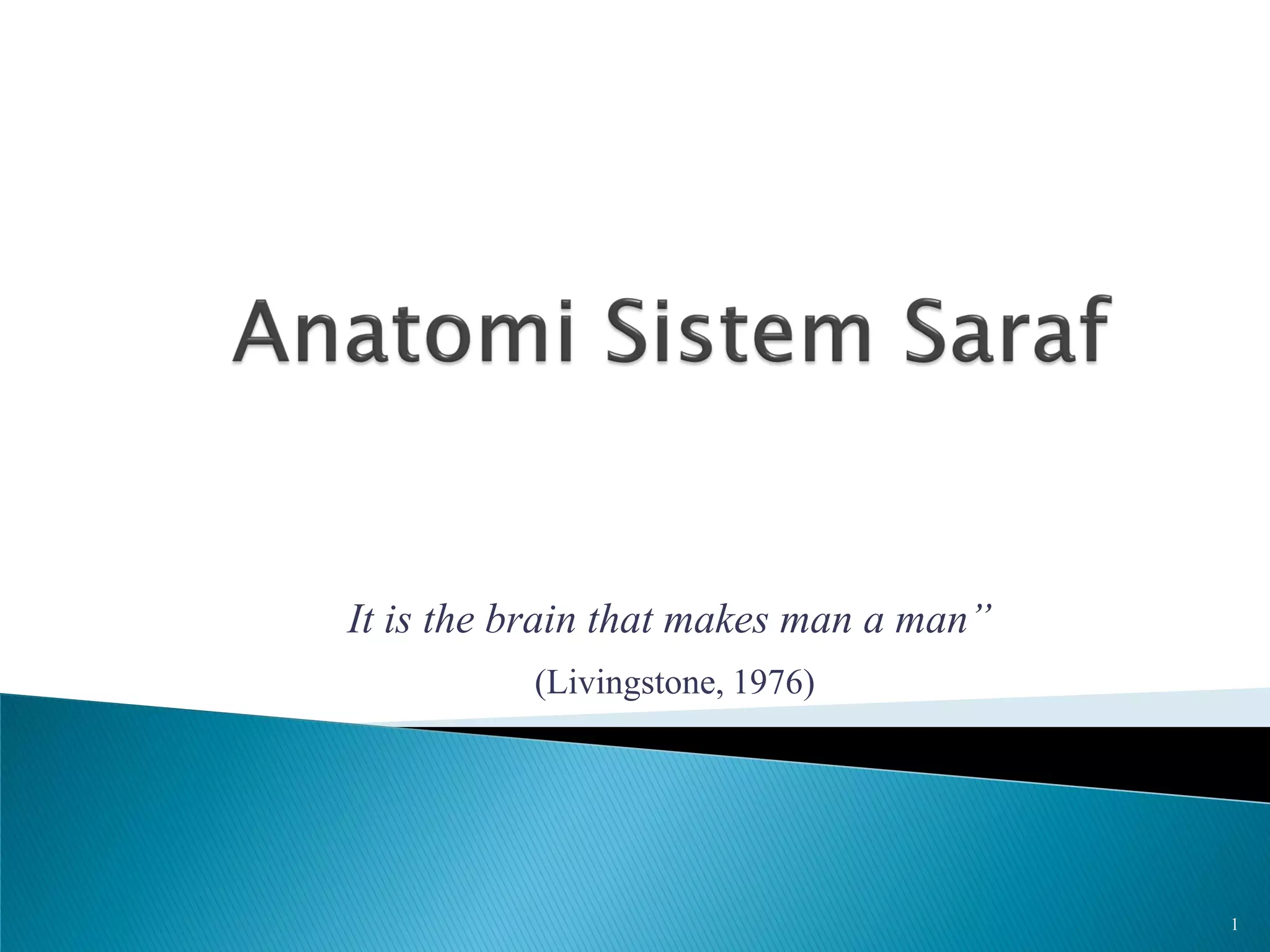 Anatomi Sistem Saraf | PDF