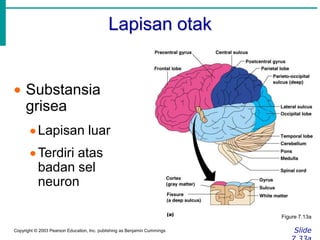 Anatomi sistem saraf | PPTX