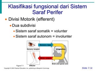 Anatomi sistem saraf | PPTX