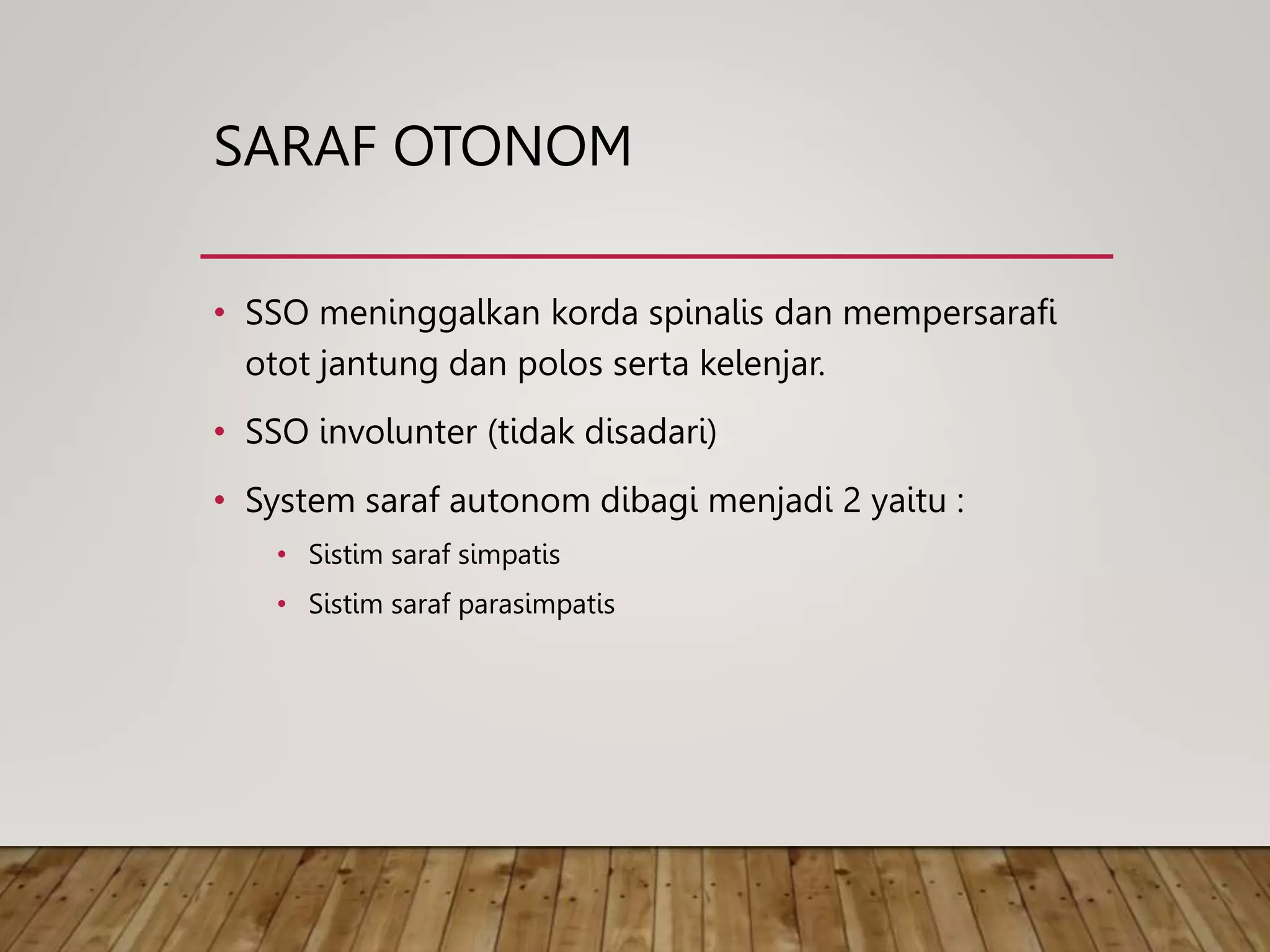 ANATOMI_SISTEM_SARAF.pptx