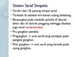 MATERI ANATOMI SISTEM PERSAYARAFAN PADA MANUSIA | PPT