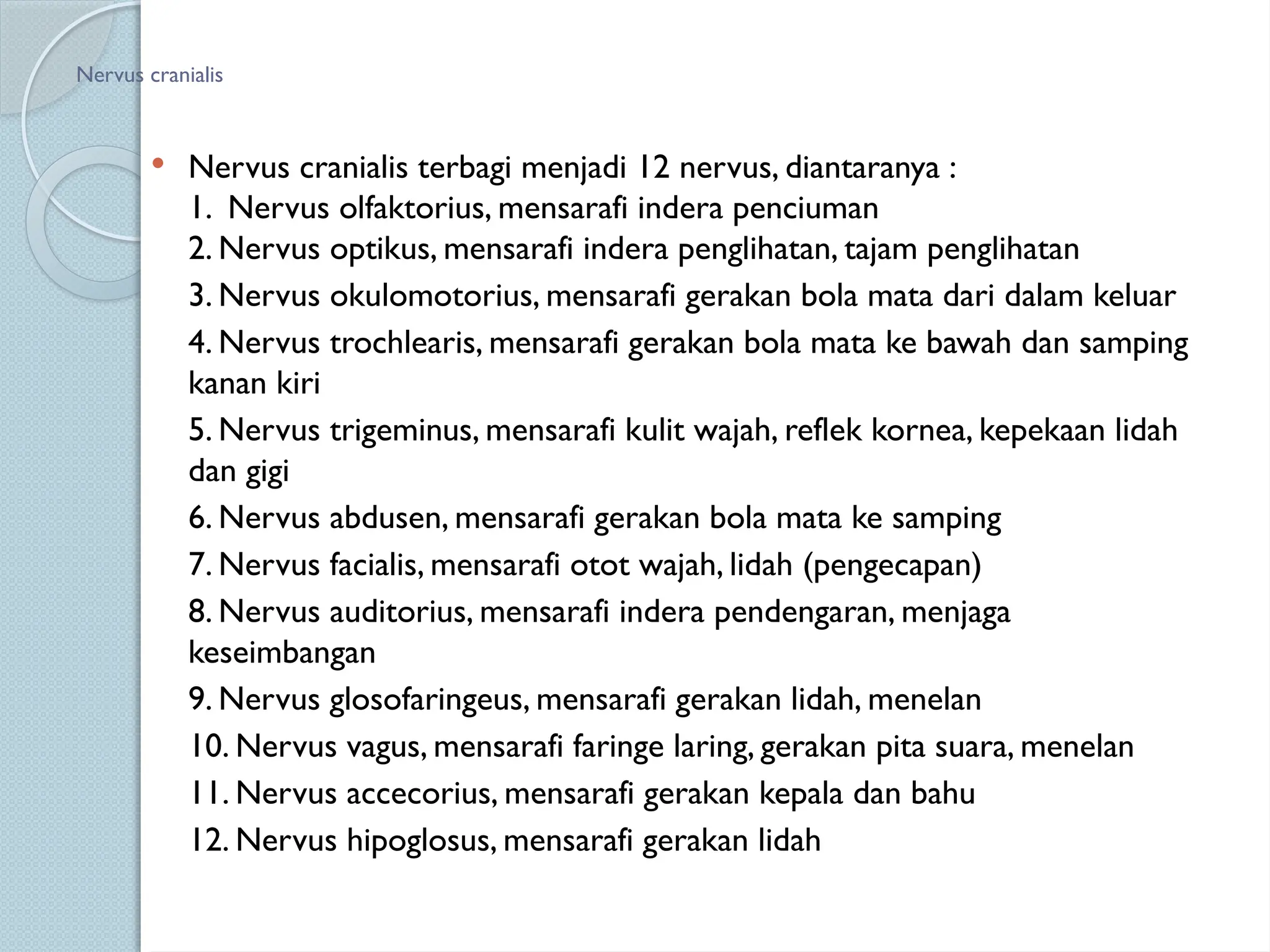 ANATOMI SISTEM SARAF.pptx Sistem saraf adalah sistem yang mengatur dan ...