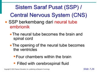 anatomi sistem saraf terkait anatomi dan fisiologi.pptx