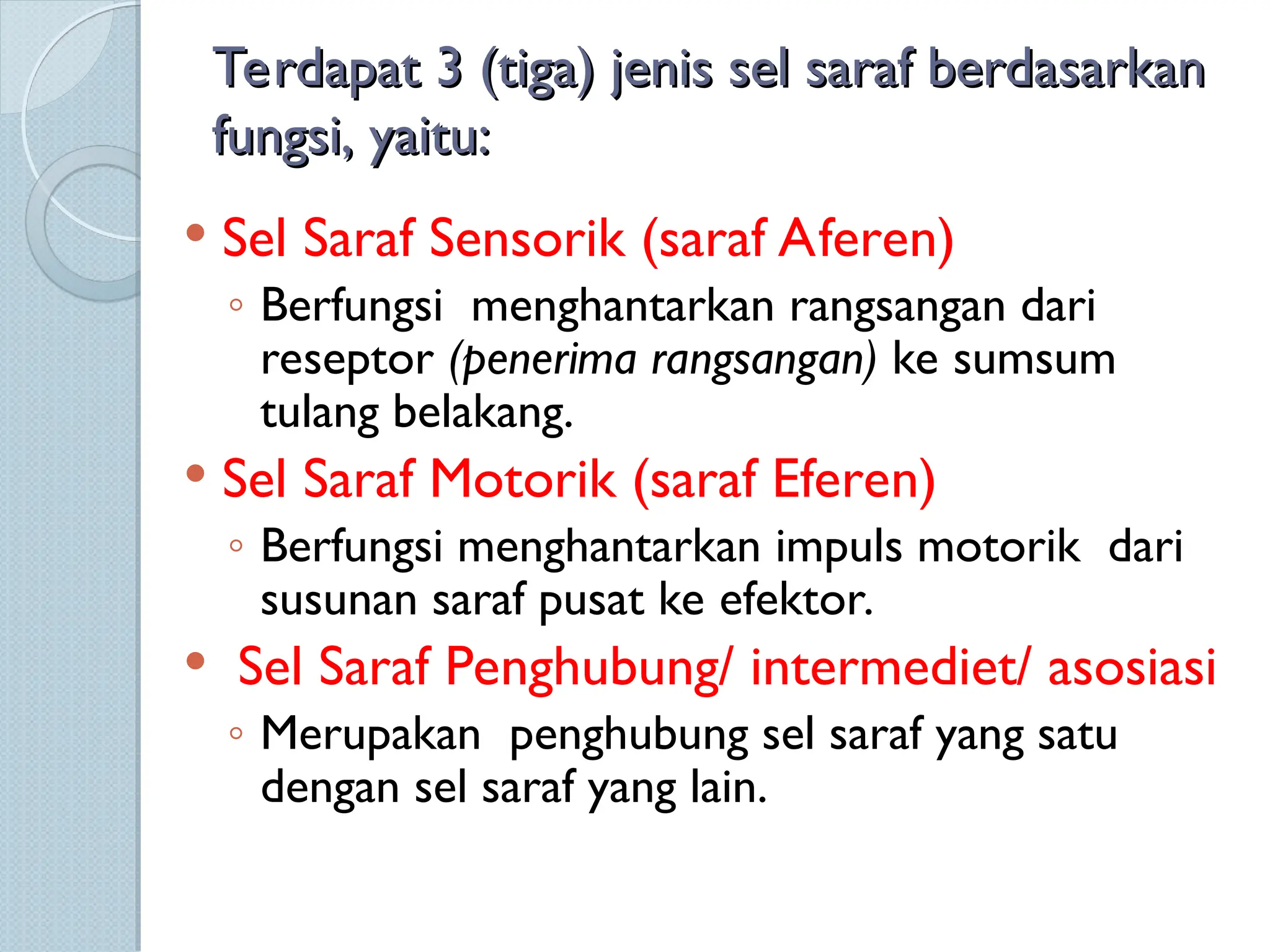 ANATOMI_SISTEM_SARAF pada manusia21. ppt | PPT