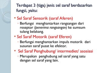 ANATOMI_SISTEM_SARAF pada manusia21. ppt | PPT
