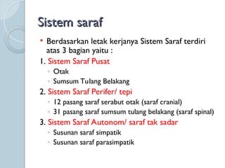 ANATOMI_SISTEM_SARAF pada manusia21. ppt | PPT