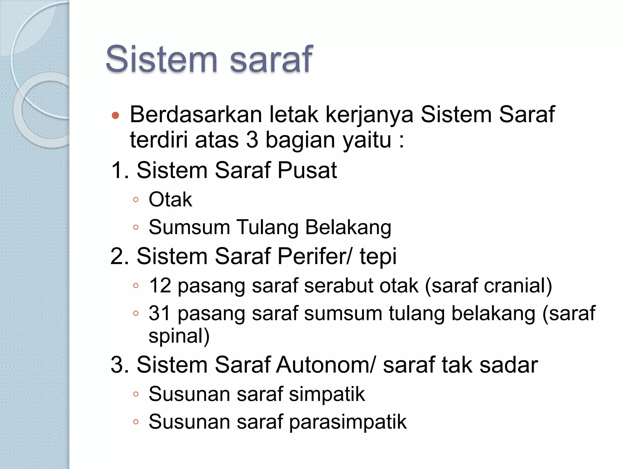 ANATOMI_SISTEM_SARAF - Copy.pptx