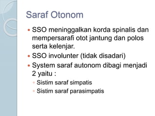 ANATOMI_SISTEM_SARAF - Copy.pptx