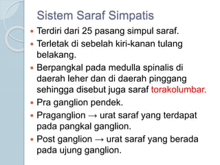 ANATOMI_SISTEM_SARAF - Copy.pptx