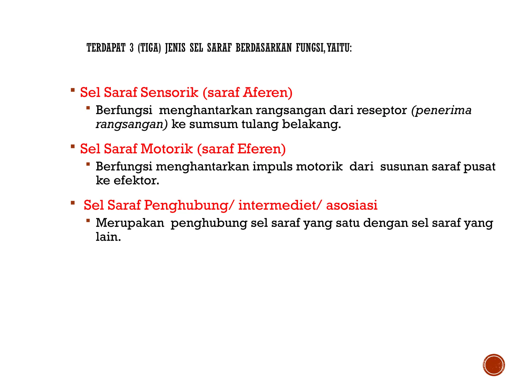 Anatomi Sistem Saraf dr. Muhamad Mahir.pptx