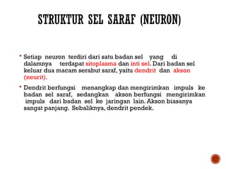 Anatomi Sistem Saraf dr. Muhamad Mahir.pptx