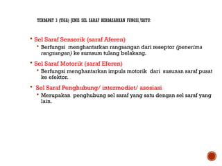 Anatomi Sistem Saraf dr. Muhamad Mahir.pptx