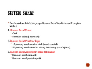 Anatomi Sistem Saraf dr. Muhamad Mahir.pptx